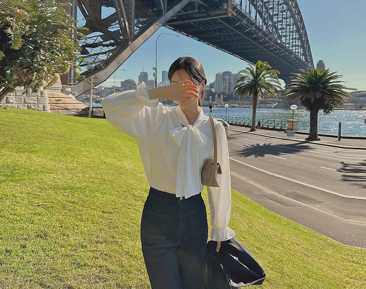 리리앤코 8천5백장 돌파 턴테이블 쉬폰 프릴 리본 블라우스 가을 신상 가을옷 데일리룩 긴블라우스 긴팔블라우스 타이블라우스 타이 얇은블라우스 시스루 출근룩 출근