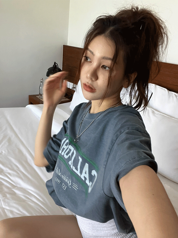 리브어리 캘리포니아 피그먼트 T