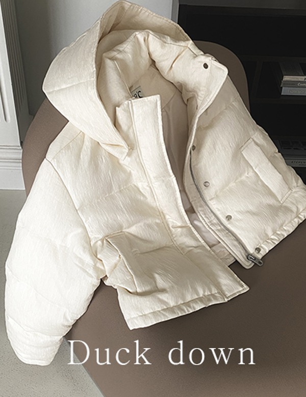 포엑스 [단독ㅣDuck down] Gloss padding