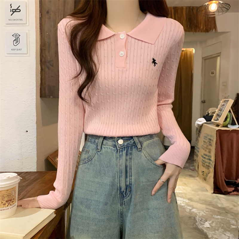 2color 24ss 신상 상의 니트 카라 티 코디/ 투 버튼 세로 꽈배기 와이드 카라 버드 자수 긴팔 포멀 핏 NT/ 일상 데일리 기본 베이직 깔끔 단정 레이어드 격식룩 ...