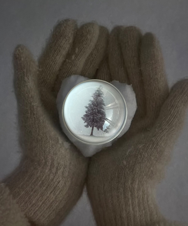 유스스피릿 반구톡 겨울 트리 겨울시리즈 사진 감성 빈티지 영롱 감성무드 아이폰 문진톡 스마트폰거치대 그립톡 스마트톡 커플템 우정템 갤럭시그립톡 구슬톡 반구톡 핸드폰케이스