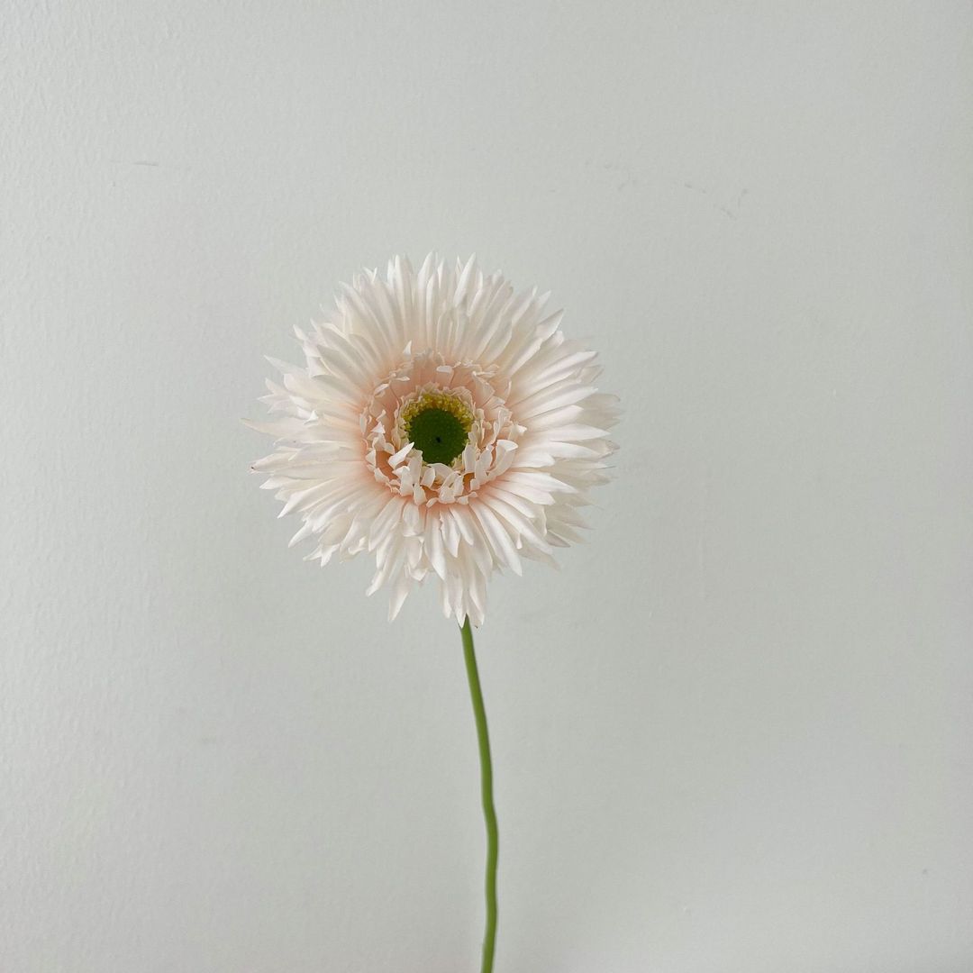 거베라 실거베라 조화 꽃꽂이재료 한송이 생화같은 꽃 조화장식 실크플라워 5colors