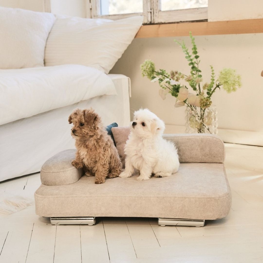 꼬모드 프리미엄 강아지 고양이 펫 소파 침대 방석
