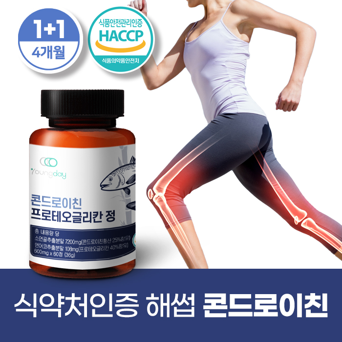 영데이 콘드로이친 프로테오글리칸 연어코 연골 추출물 프리테오글리칸 프로테오클리칸 콘도로이친 우슬