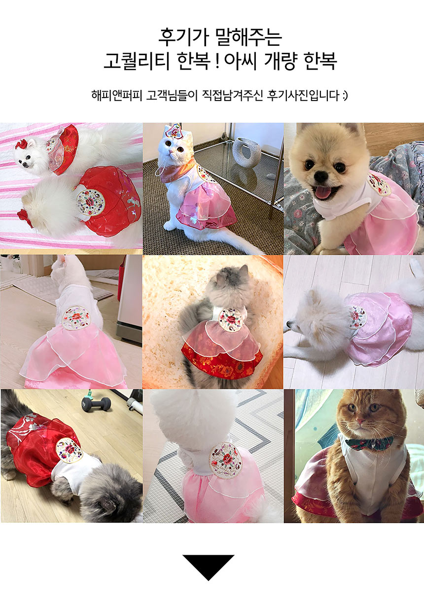 해피앤퍼피 강아지옷 애견한복 강아지한복 고급한복