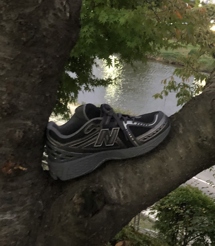 메소프501 뉴발란스 1906 팬텀 빅키즈 GC1906EX