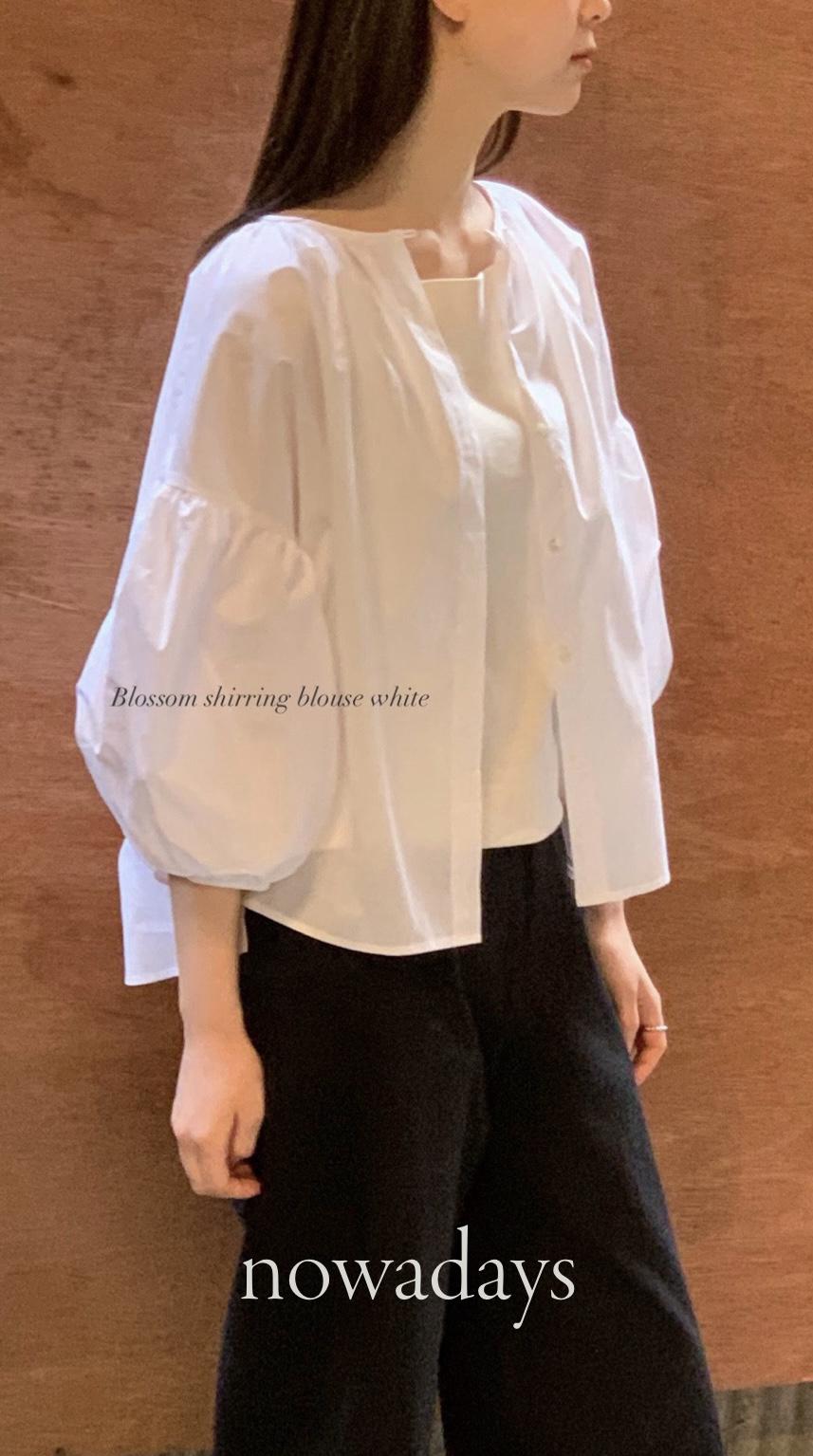 나우어데이즈 [SALE] 화이트 당일 / haus 하우스 블로썸 셔링 블라우스 라운드 퍼프 7부 셔츠형 bl (2col)